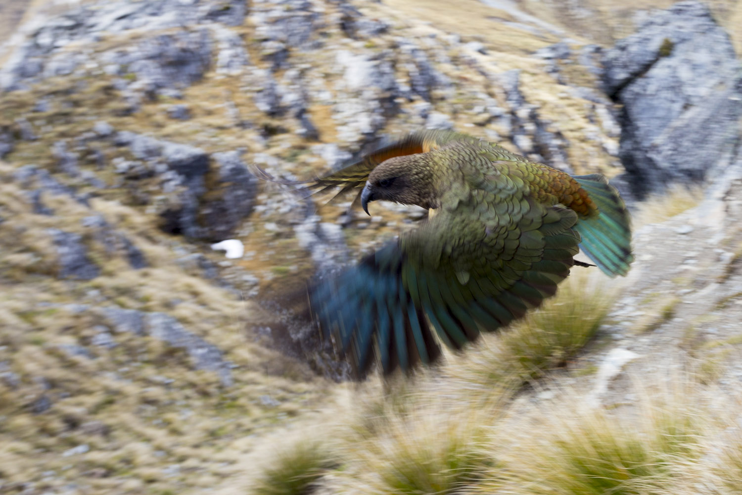 Lisa Dunlop – Children’s Author – Mountains