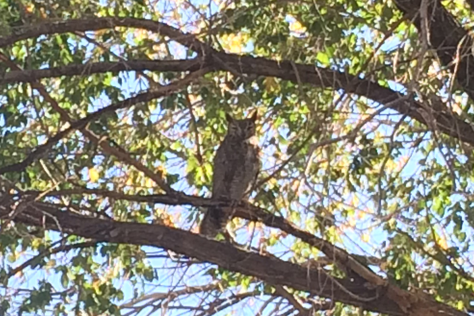 Lisa Dunlop – Children’s Author – Mountains