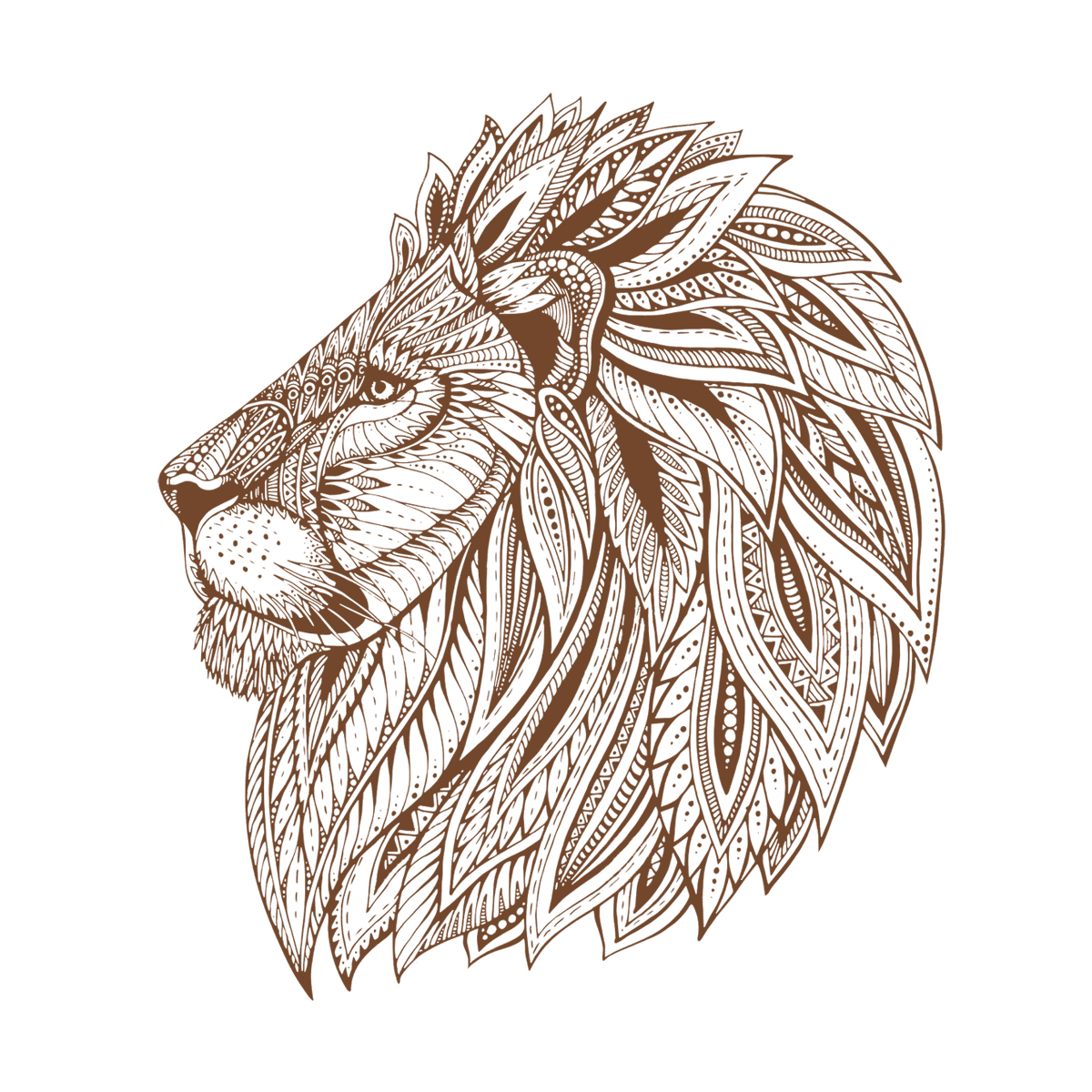 Lisa Dunlop – Children’s Author